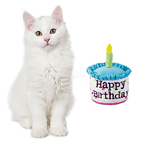 Ushang Pet Happy Birthday Cake Catnip Toys, Birthday Cake Shaped Chew Toys for Kitten Funny Cats Gifts Plush Cat Birthday Party Toys, Blue
