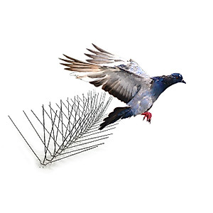 Bird-X Stainless Steel Bird Spikes, 8-inch Extra-Wide Spikes, Bird Spikes for Pigeons and Other Small Birds, Easy to Install, Contains 2 ft. Strips, Covers 100 Linear Feet Area, EWS-100