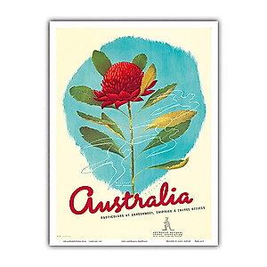 Australia - Red Waratah (Telopea) Flower - New South Wales (NSW) State Emblem - Vintage Travel Poster by Gert Sellheim c.1935 - Master Art Print (Unframed) 9in x 12in