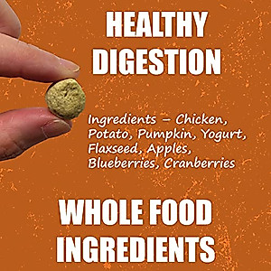 Whole Life Pet Living Treats for Cats – Healthy Gut with Chicken and Yogurt – Human Grade, Probiotics, Easy Digestion, Sensitive Stomachs - Made in The USA