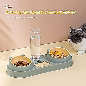 Foviza Double Dog Cat Bowls with Water Dispenser Pets Water and Food Bowl Set Tilted Cat Food Dishes with Automatic Waterer Bottle for Small or Medium Size Dogs Cats