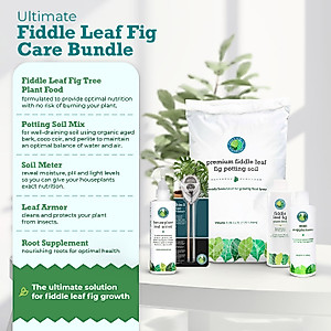 Ultimate Fiddle Leaf Fig Care Bundle