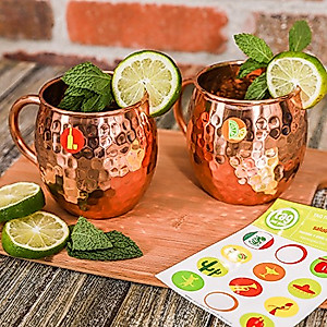 Alter Ego (2-pack) - Champagne, Beer & Wine Glass Charms - Static Cling. Unique, Reusable Wine Charms, Stemless Wine Glass Charms for Birthday, Wedding, Thanksgiving, Christmas Party Accessory