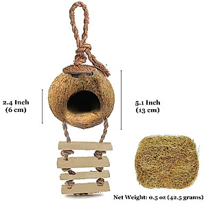 SunGrow Hermit Crab Coconut Hut with Ladder and Bedding, Perfect Mansion for Geckos, Pocket Pets, Small Birds, and Hermit Crabs, 1.5 oz. Bedding Included for Amazing Value