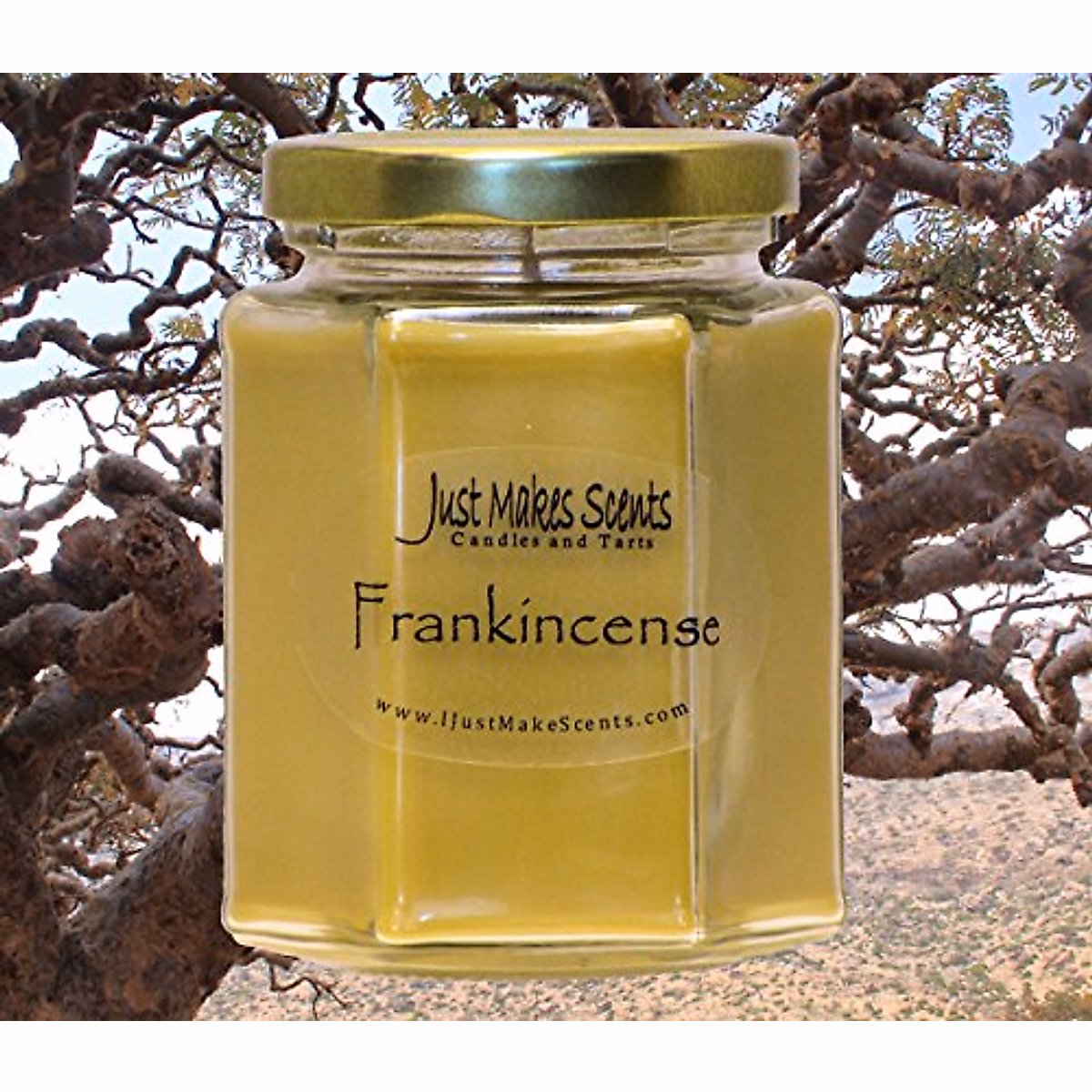 Frankincense Scented Blended Soy Candle by Just Makes Scents
