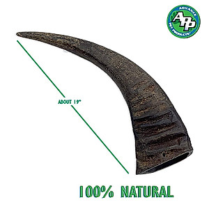 Buffalo Horn Jumbo 19 Inches of Long Lasting 100% Natural Water Dog Chew
