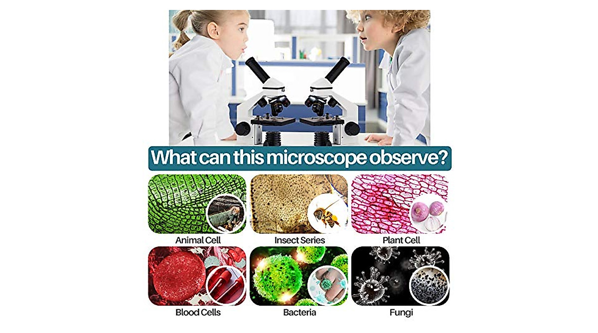 Powerful Biological Microscope for Kids & Adults | 250X-2000X