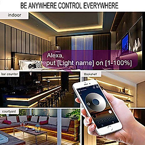 Sumaote Single Color LED Strip Lights WiFi Controller, Compatible with Android iOS Works for 5050 3528 COB LED Light Strips, 5V-28V, Voice Control, Dimmable, Timing Function