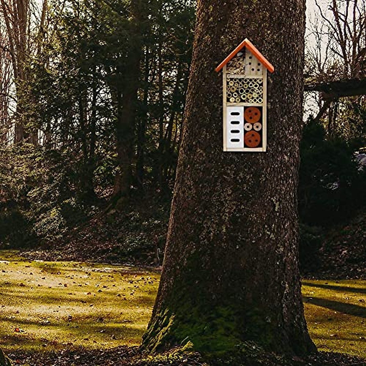 Lulu Home Wooden Insect House, Hanging Insect Hotel for Bee, Butterfly, Ladybirds, Beneficial Insect Habitat, Bug Hotel Garden, 10.4 X 3.4 X 5.4 Inch