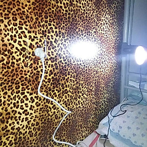 Yifasy 19.7 feet Wallpaper Roll Leopard Animal Print Peel and Stick Removable Shelf Liner Women Makeup Box Decor (236x17.7 Inch)