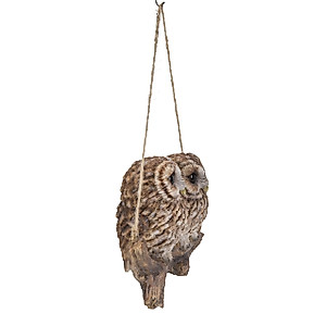 Hi-Line Gift Hanging Baby OWLETS ON A Branch, Brown