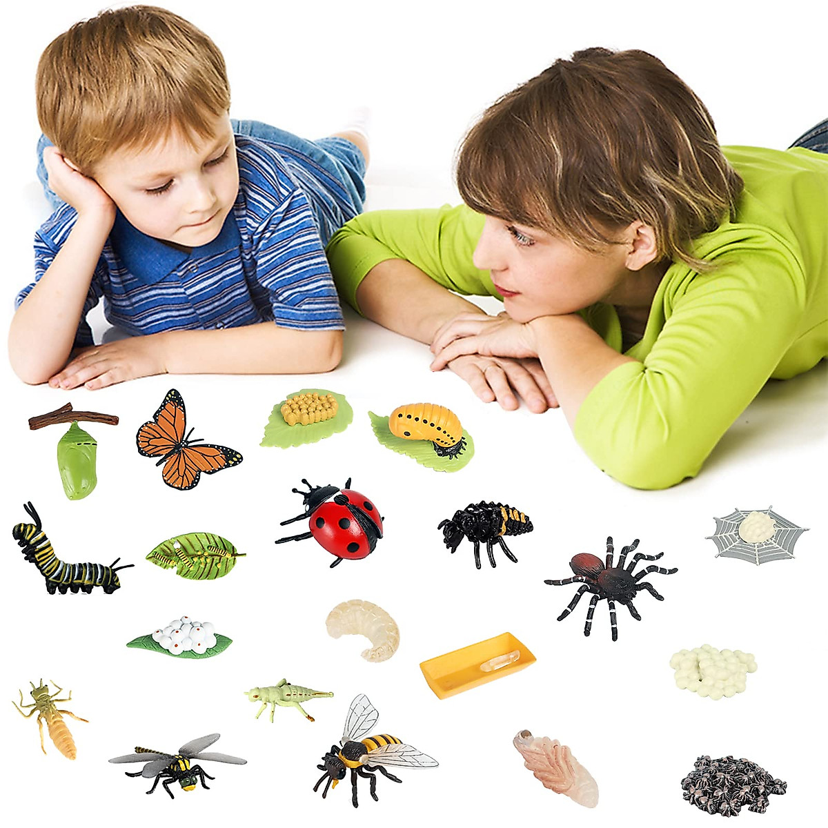 20 PCS Life Cycle Figurines of Butterfly Spider Bee Ladybug Dragonfly, Plastic Insect Bug Figures Toy Kit, Early Education Growth Stage Model Biology Science Toys School Project for Kids Toddlers