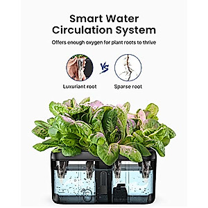 iDOO Hydroponics Growing System Indoor Garden, Plants Germination Kit with Pump, Automatic Timer LED Grow Light for Home Kitchen Gardening,8 Pods Herb Garden Kit Indoor Up to 15",Black