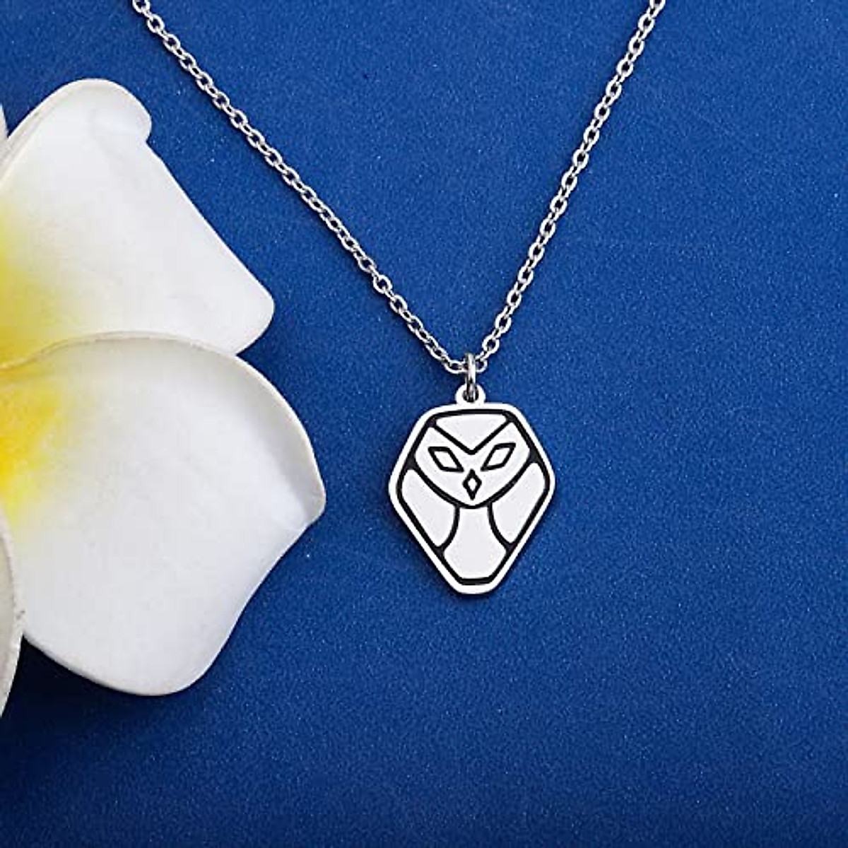 KEYCHIN Funny Owl Hooty Necklace Owl Hooty Fans Gifts The Owl Home Jewelry For Women Girls (Owl Hooty NK-S)