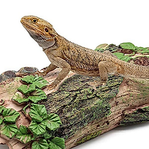 BWOGUE Reptile Habitat Decor Hideouts Log Hideaway Critter Cavern Bark Bends Resin Wood Decorations Hiding Place for Lizards Leopard Gecko Spiders Snakes Fish Shrimp Turtle