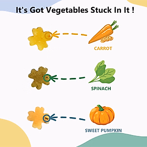 Veggiesnax for Premium Organic Vegan Dog Treats Natural Soft Chews Training Snacks Healthy Huge Container, 35.3 oz.(1kg) (35.3oz, Sweet Pumpkin)