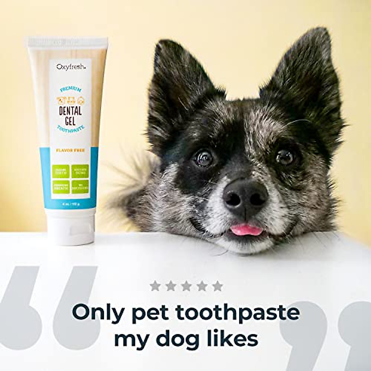 Oxyfresh Premium Dog Toothpaste – Best Dog Teeth Cleaning & Dog Plaque and Tartar Fighter – Safe for Cat Toothpaste Too – Vet Formulated Pet Toothpaste, 4oz