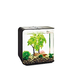 biOrb Decor Set 30L Summer Medium