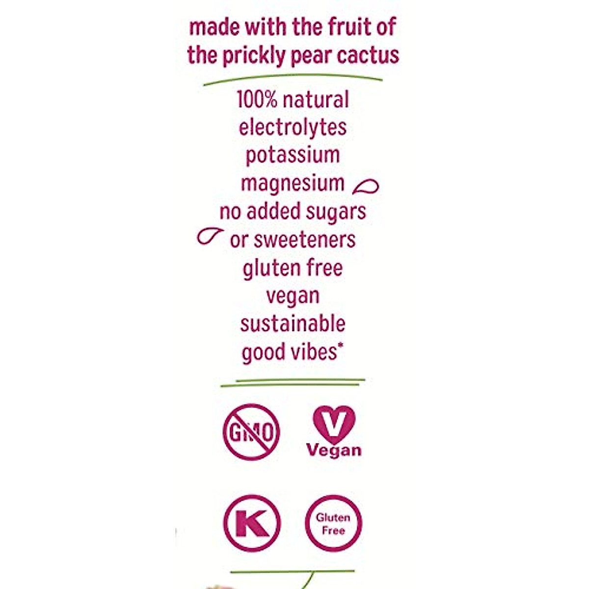 True Nopal Cactus Water, 16.90 Fl. Oz (Pack of 12)