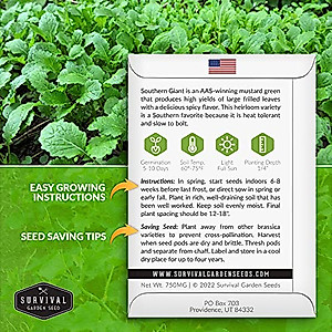 Survival Garden Seeds - Southern Giant Mustard Greens Seed for Planting - Packet with Instructions to Grow Spicy Brassica Juncea Leaves in Your Home Vegetable Garden - Non-GMO Heirloom Variety