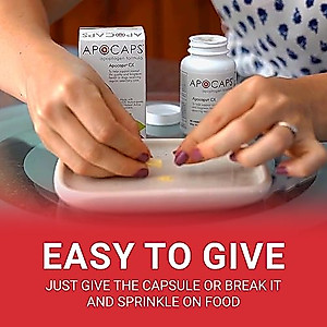 Apocaps CX Apoptogen for Dogs (Pack of 2 Boxes)- 90 Count Each