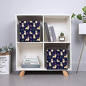 Corgi's Dog Storage Bins Cubes Foldable Fabric Organizers with Handles Clothes Bag Book Box Toys Basket for Shelves Closet 10.6"