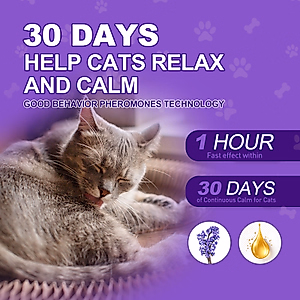 TachengMc Calming Collar for Cats, 4 Pack Cat Calming Collar, Effective Relief Ancxiety Stress Cat Pheromone Collar, Water-Resistant & Adjustable Cat Calming Collar Fits Cats, Purple