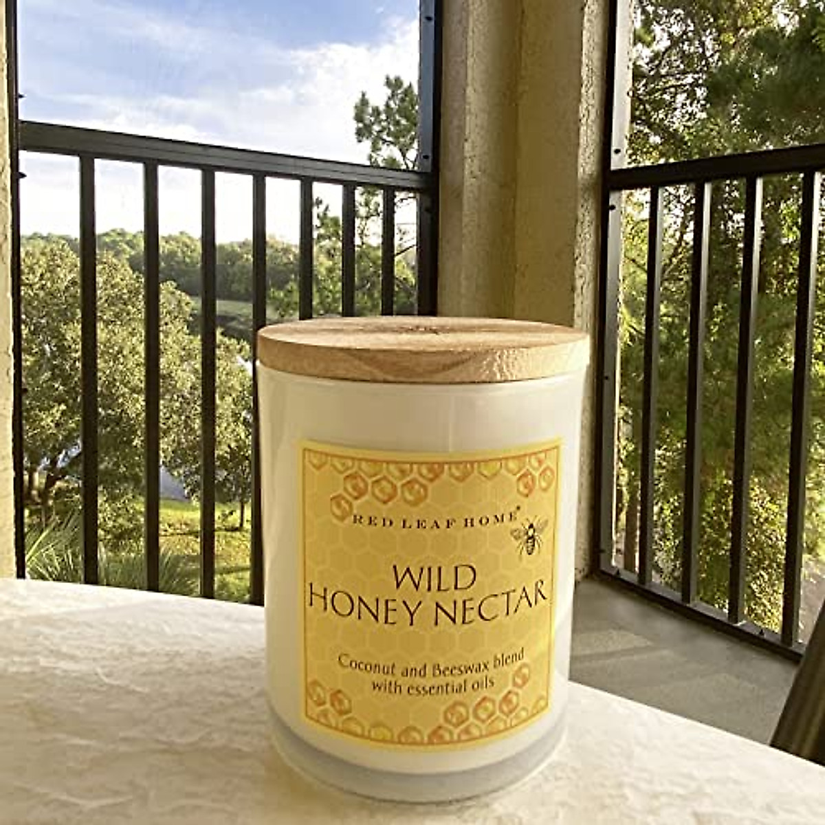 Red Leaf Home | Wild Honey Nectar Candle, Medium | Honeycomb Collection, Aromatherapy, Gift | 11oz Jar