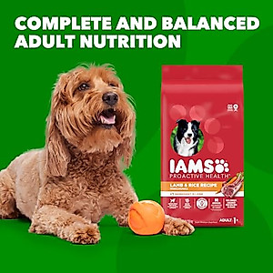 IAMS Minichunks Adult Dry Dog Food Lamb & Rice Recipe Dog Kibble, 30 lb. Bag