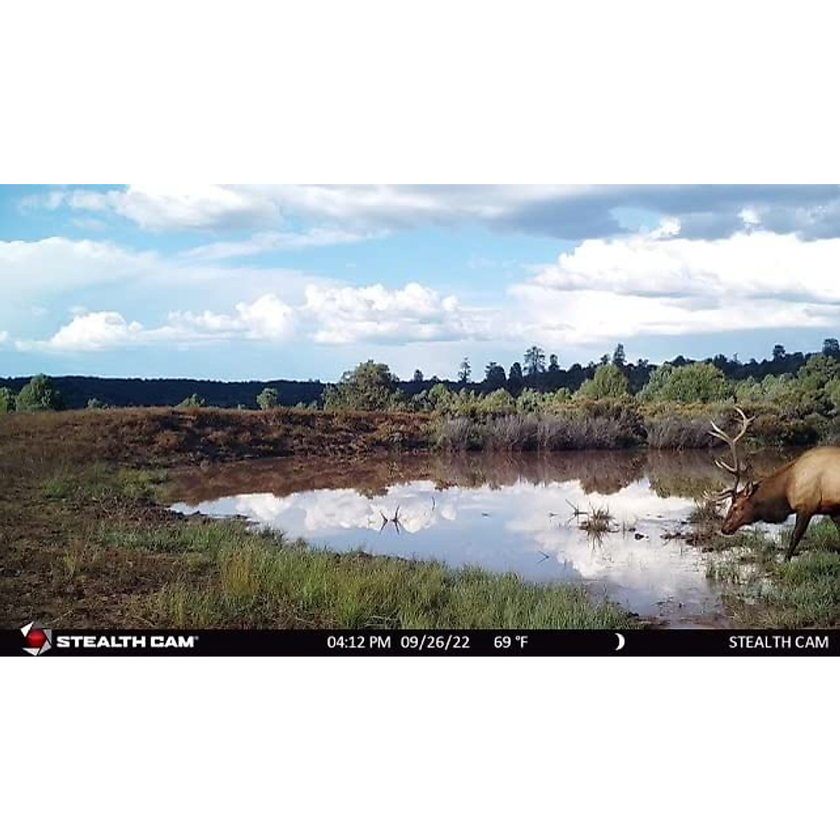 STEALTH CAM Fusion X-Pro Dual Sim 36 MP Photo & 720P HD Video 0.4 Sec Trigger Speed Wireless Hunting Trail Camera - Available on AT&T & Verizon