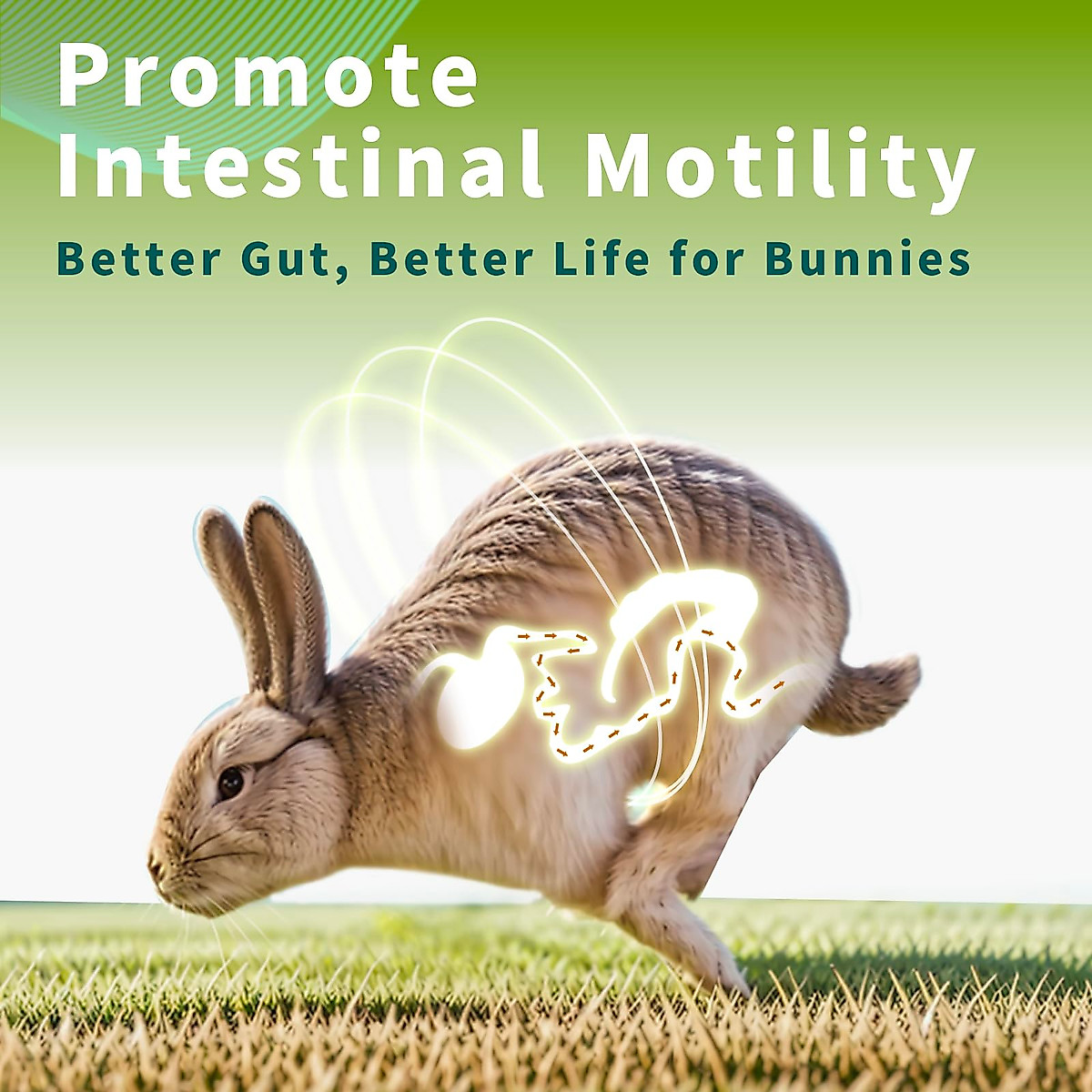 NUTRIARISE Digestive Support Grass-Based Supplement for Rabbit- High Fiber, Probiotics，Prevent GI Stasis, Promote Intestinal Motility and Minimize Intestinal Disease, 36 Tablets.