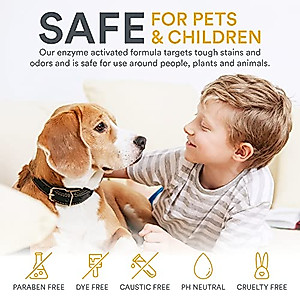 Zeiff Pet Stain and Odor Remover - Pet Odor Eliminator for Home and Professional Use - Pet Urine Enzyme Cleaner to Break Up Tough Stains - Carpet Stain Remover for Dog Urine and Cat Pee, Feces, Fluids