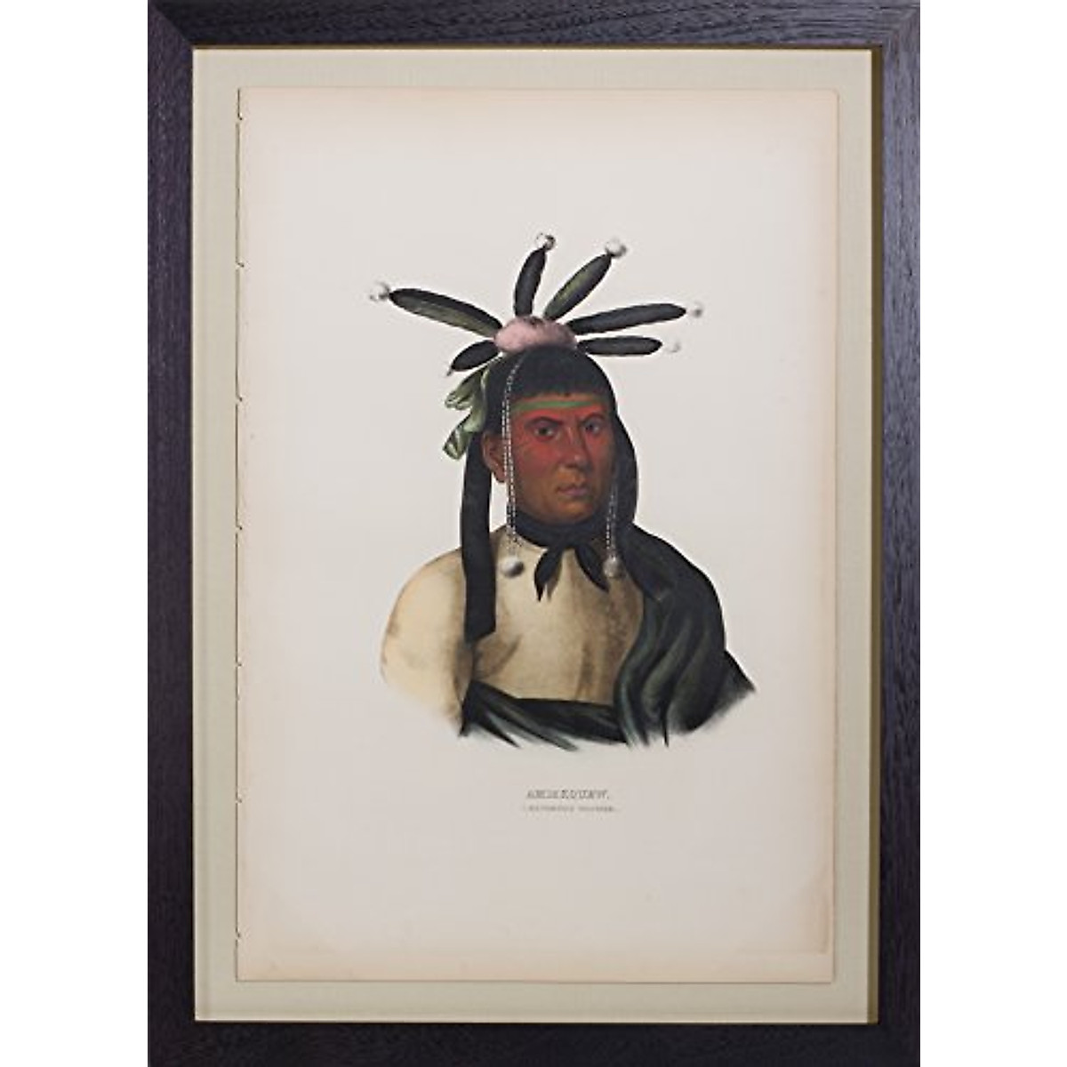 Amisquew, A Menominie Warrior