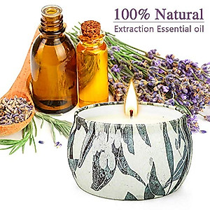 CREASHINE Scented Candles Gift , Stress Relief Pure Soy Wax Single Wick 100 Hour Burn 16 Ounce Unit Portable Travel Tin Perfect for Women Aromatherapy Anniversary - 4 Pack