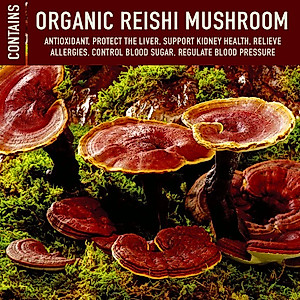 Earth Vet Super Immunity + for Dogs - Contains Organic Spirulina, Organic Chlorella, Organic Turmeric and Reishi Mushroom (60 Servings)