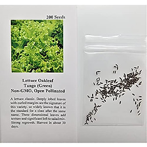David's Garden Seeds Lettuce Oakleaf Tango FBA-9423 (Green) 200 Non-GMO, Open Pollinated Seeds