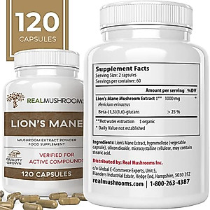 Lions Mane Brain and Focus Supplements - Mushroom Powder Extract Capsules - Non GMO and Gluten Free Supplement for Better Cognitive Health