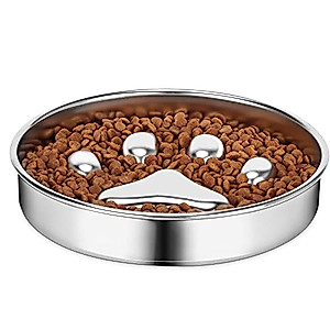 AIPERRO Slow Feeder Dog Bowls 304 Stainless Steel, 2 Cups Metal Food Bowls, Water Bowl for Small & Medium Sized Dogs, Fun Bloat Stop Pet Fast Eaters