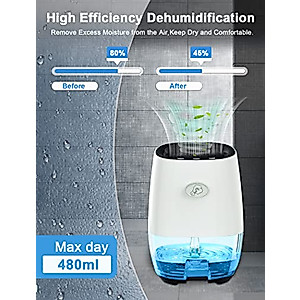 Dehumidifiers:Portable Dehumidifier for Home, Bedroom, Bathroom 35OZ Small Dehumidifiers Mini dehumidifier with Auto Shut-off, 7 Colors Night Lights, Ultra Quiet for Closet RV Office