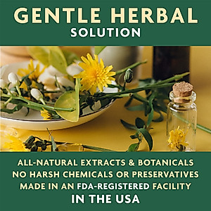 EcoMange Mange Relief for Dogs & Cats – 8 Oz. Cat & Dog Itch Relief, Sarcoptic & Demodectic Mite Spray – Herbal Extract & Essential Oil Itch Relief for Dogs – Natural Cat & Dog Sprays by Vet Organics