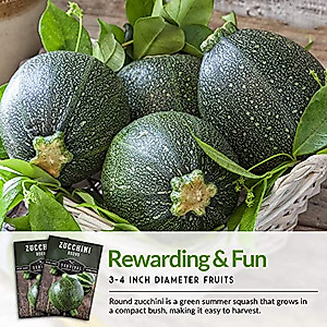 Survival Garden Seeds - Round Zucchini Seed for Planting - Pack with Instructions to Plant and Grow Small Green Zucchinis in Your Home Vegetable Garden - Non-GMO Heirloom Variety
