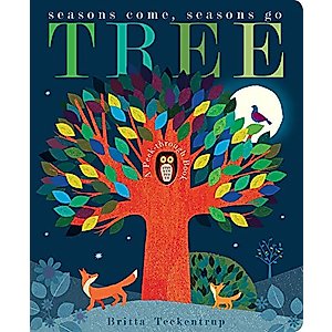 Tree: Seasons Come, Seasons Go (Peek-through Nature)
