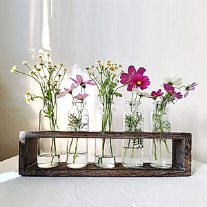 KatoonX Flower Vase Set with Wood Rack Plant Terrariums Kit for Hydroponics Plants Home Garden Wedding Centerpiece Decor (Rustic)