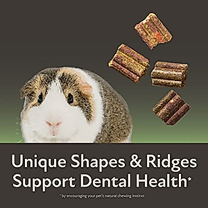 Kaytee Field+Forest Guinea Pig Food 4 Pounds