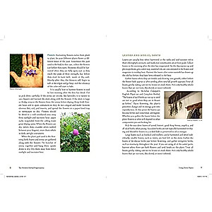 The Modern Herbal Dispensatory: A Medicine-Making Guide