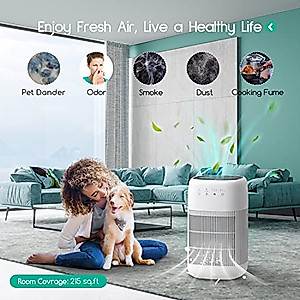 Air Purifier and Dehumidifier in 1, Afloia Q10 True HEPA Air Purifier with H13 HEPA Filter, Small Dehumidifier Combined with Air Cleaner, Remove Pet Odors Dust Smoke for Home, Bedroom, Bathroom