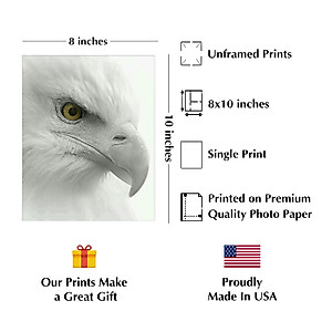 "Fearless Bald Eagle" Wall Art Print - 8x10” Eagle Photo Print Ideal for Home Decor, Office, School & Cave Decor, Great Patriotic Gift! Unframed