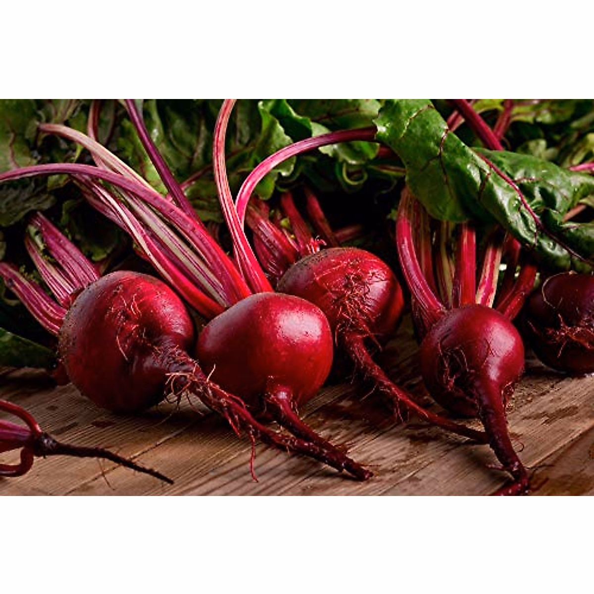 Bull's Blood Beet Seeds for Planting, 100+ Heirloom Seeds Per Packet, (Isla's Garden Seeds), Non GMO Seeds, Botanical Name: Beta vulgaris, Great Home Garden Gift