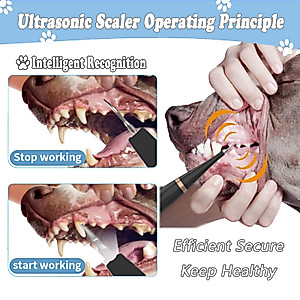FZChenrry Plaque Remover for Teeth,Pet Ultrasonic Cleaner,Teeth Cleaning Kit for Tartar and Stains,5 Modes with Dental Tools Scaler Scraper