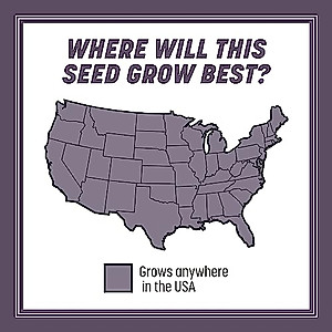 Pennington Annual Ryegrass Retail Bag to Overseed Warm Season Grasses, 25 lb